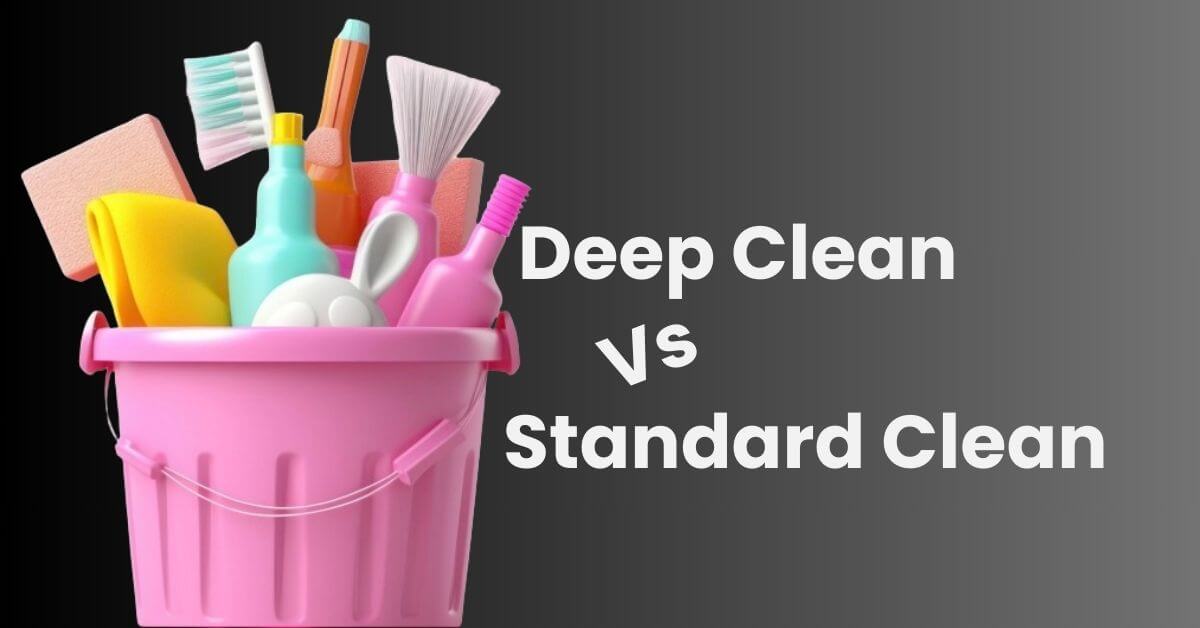 Difference between deep clean and regular clean - Roenter